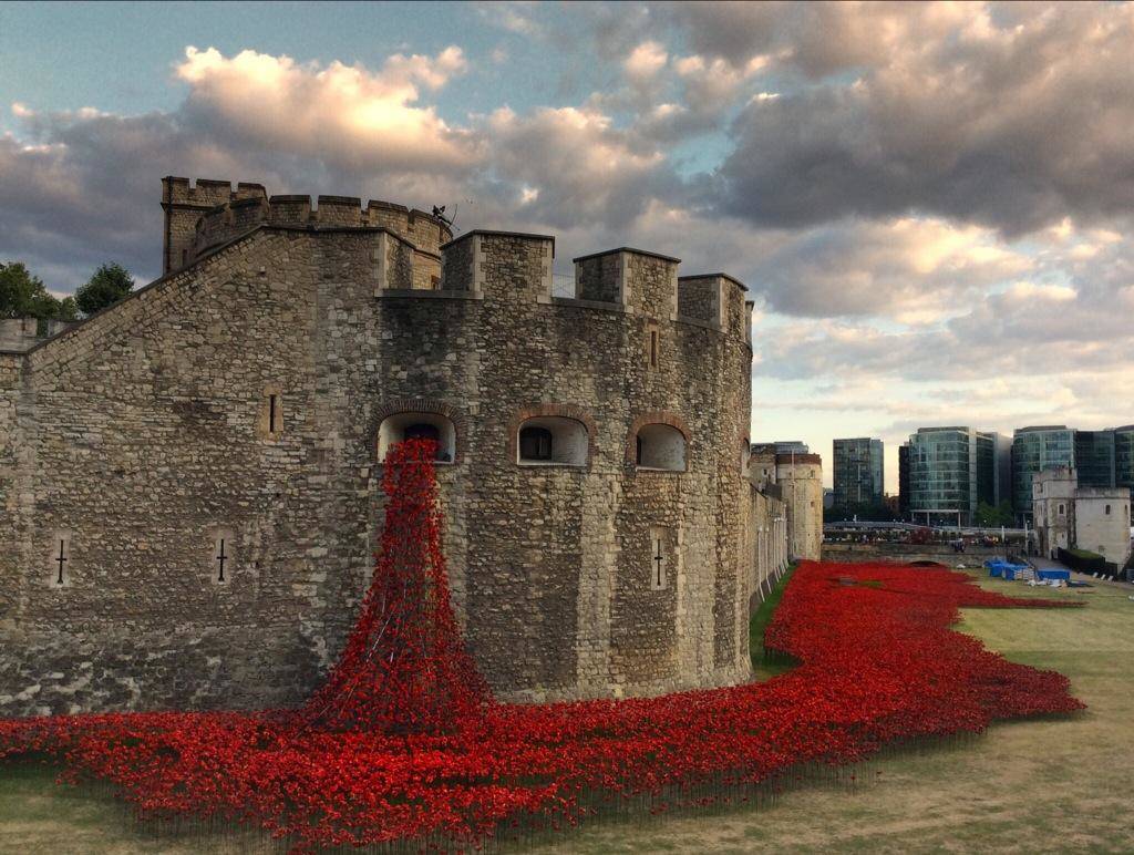 Tower of London Poppy Appeal 2014 - Cabling Solutions